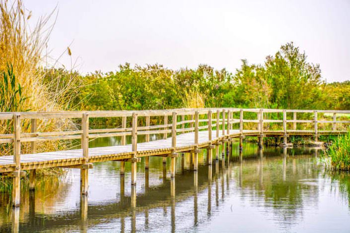 Azraq Wetland Reserve, Jordan [A Story of Demise & Rebirth]