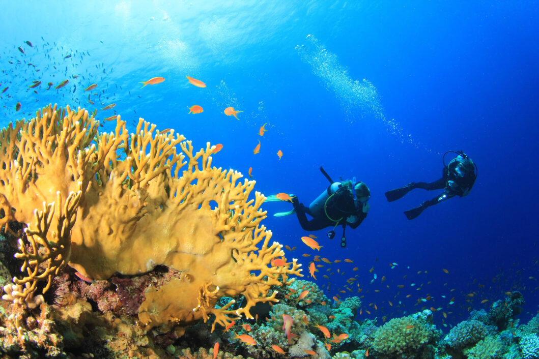 Tiran Island – A SCUBA Diver’s Dream in the Red Sea