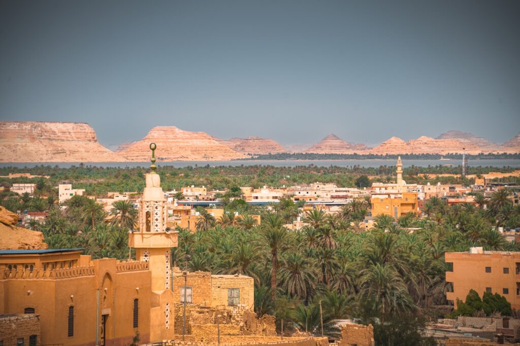 Best Time to Visit the Western Desert, Egypt (Month Guide)