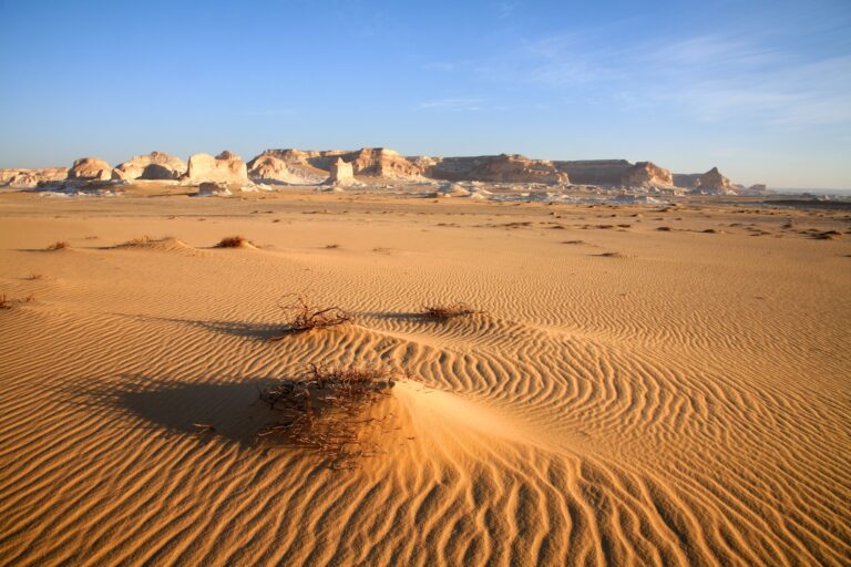 White Desert National Park: Chalk Formations & Starry Nights