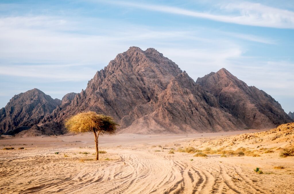 Sinai Peninsula Adventure [5 Days] Hiking & Red Sea Exploration